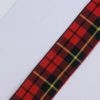 Tartan Ribbon